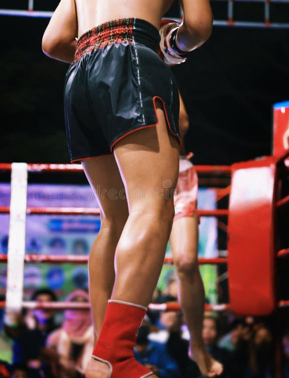 Muay Thai Fighting on the Boxing Ring Stock Photo - Image of ...
