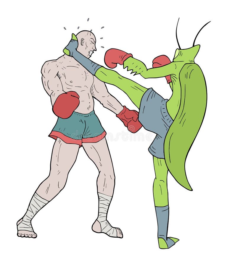 Insect Fighter Stock Illustrations – 220 Insect Fighter Stock ...