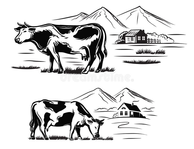 Vettore Stilizzato Di Una Mucca Che Pascola Illustrazione Vettoriale ...