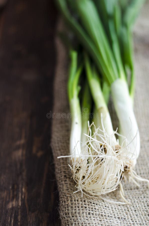 Mucchio Di Cipolla Novella Fresca Fotografia Stock - Immagine di ...