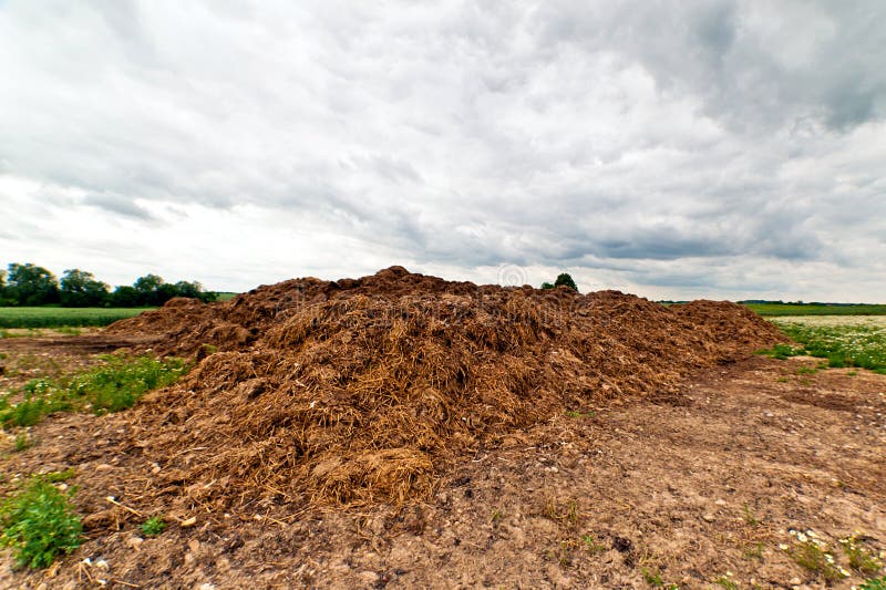 Mucchio di letame immagine stock. Immagine di ambiente - 21907345