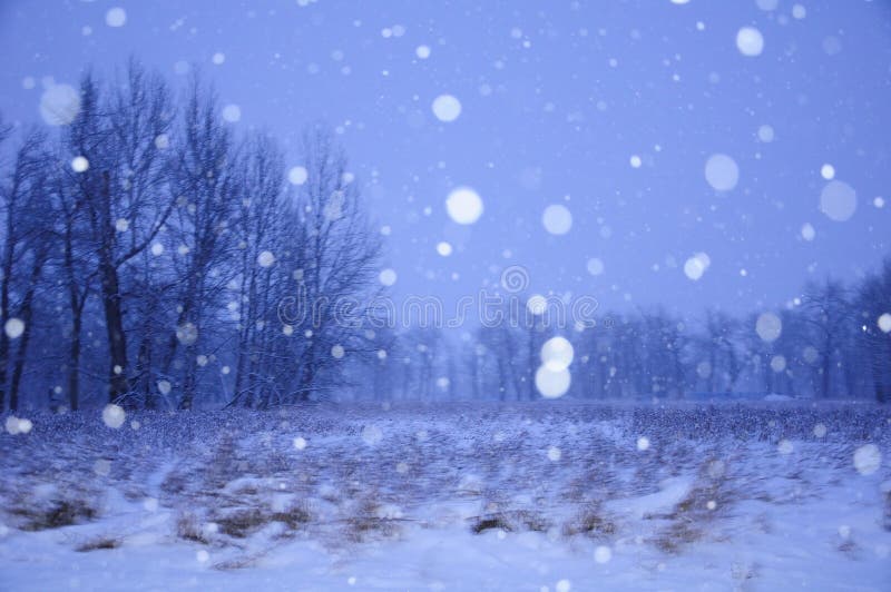 So Much Dancing Snow Make Me Blurry Stock Photo - Image of blurry ...