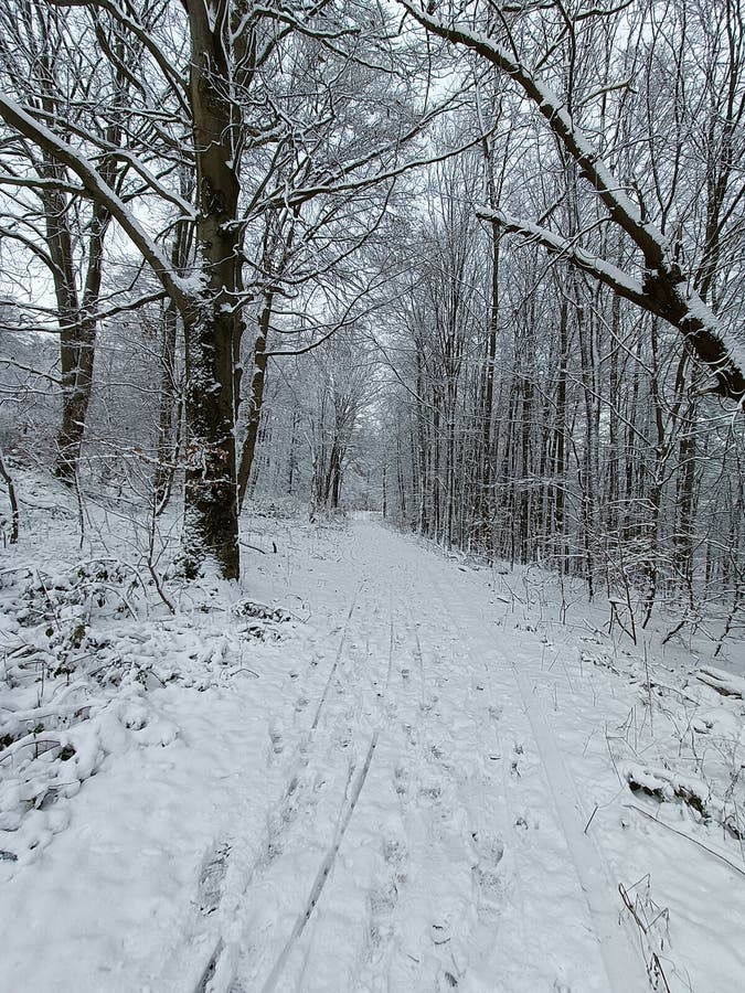 So much snow in Russia stock image. Image of russian - 136958549