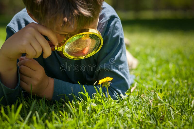 Muchacho, El Explorador De La Naturaleza Imagen de archivo - Imagen de ...