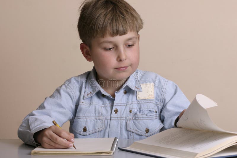 Muchacho estudioso imagen de archivo. Imagen de colegial - 29829