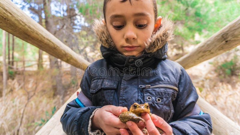 Muchacho Que Sostiene Un Sapo En Un Puente De Madera Imagen de archivo ...