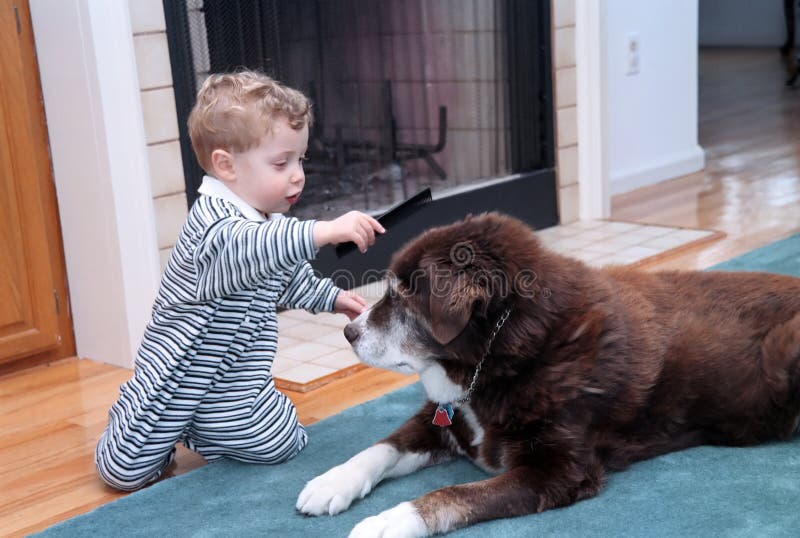 Muchacho y perro foto de archivo. Imagen de interior, laboratorio - 1315906