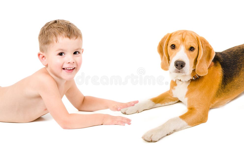 Muchacho y perro junto imagen de archivo. Imagen de fondo - 42470841