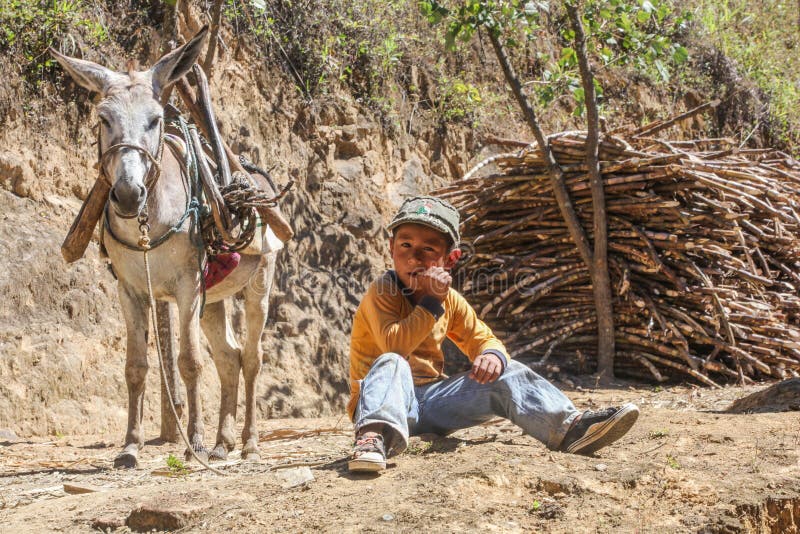 3,094 Burro Man Fotos de stock - Fotos libres de regalías de Dreamstime