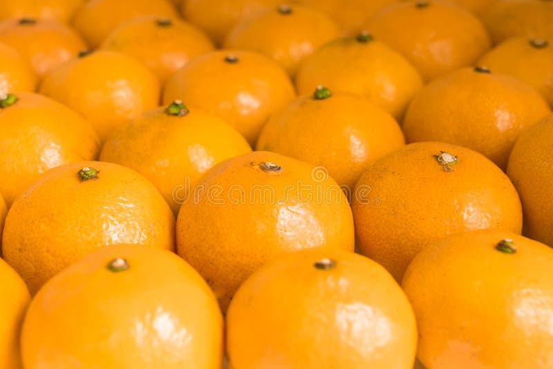 Muchas naranjas en fila foto de archivo. Imagen de mandarina - 104214346