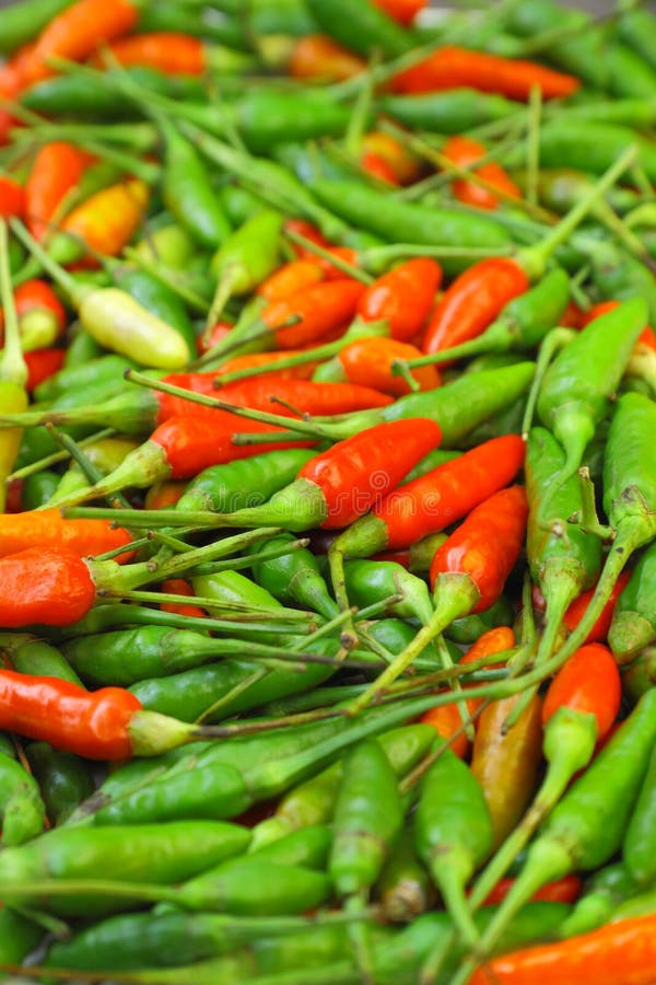 Muchas Pimientas De Chile Rojas Y Verdes Foto de archivo - Imagen de ...