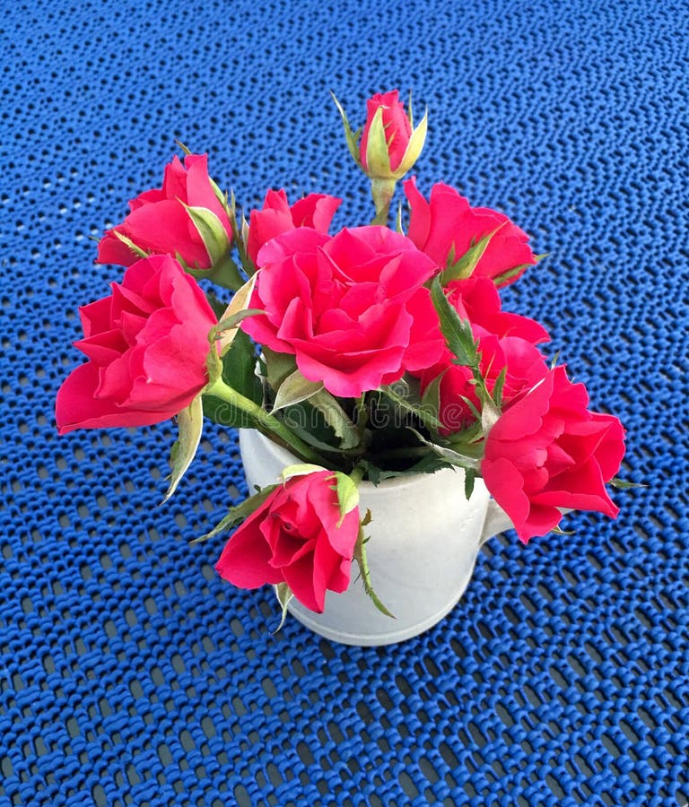 Muchas rosas rojas imagen de archivo. Imagen de fondo - 76694793