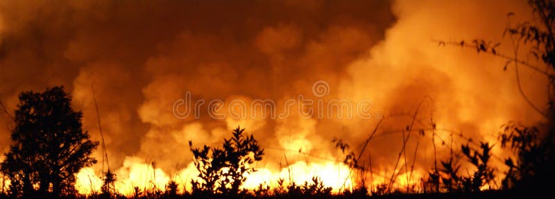 MUCK FIRE in FLORIDA stock image. Image of smoke, yellow - 84313929