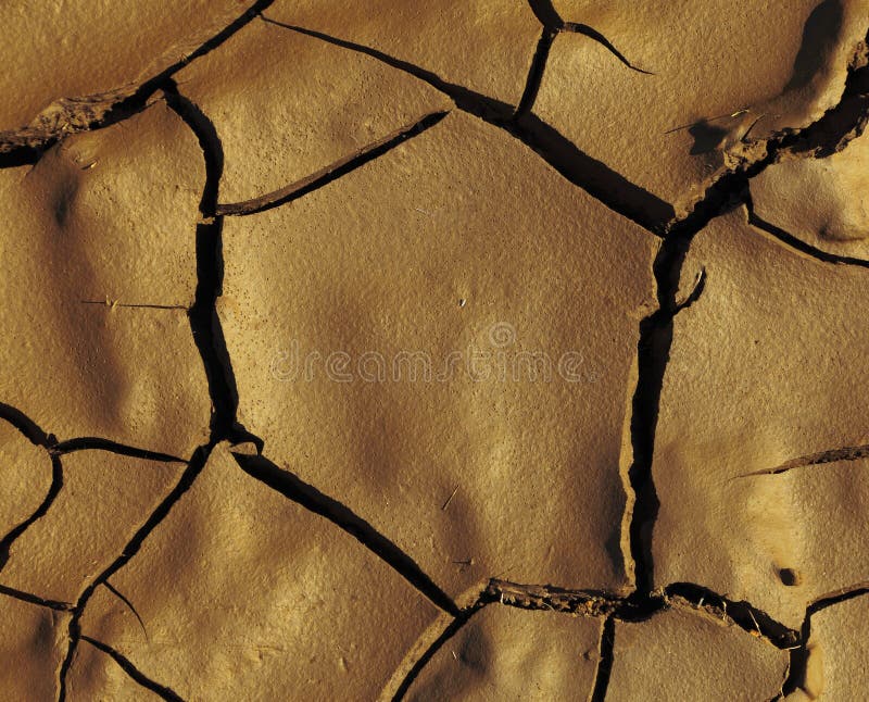 Mud stock image. Image of orange, brown, ecology, parched - 12302315