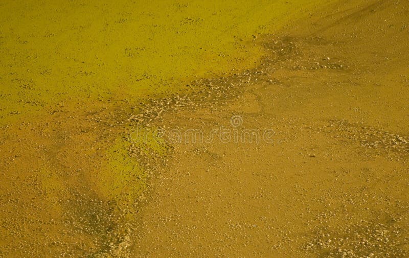 Mud stock photo. Image of water, yellow, quag, ooze, chemical - 13024936