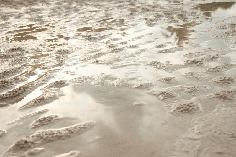 Mud stock photo. Image of muddy, rustic, nature, natural - 14031238