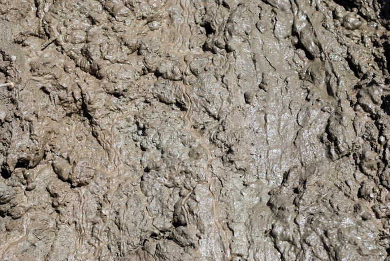 84,585 Mud Texture Cartoonish Stock Photos - Free & Royalty-Free Stock ...