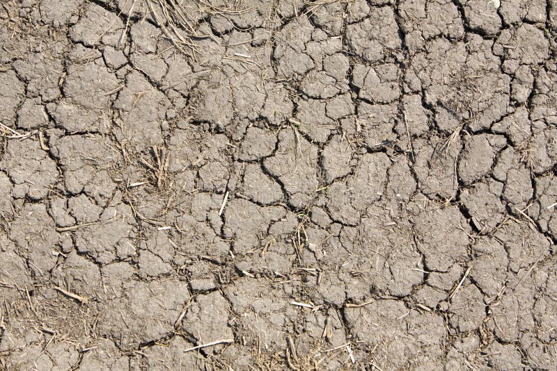 1,271 Mud Shapes Stock Photos - Free & Royalty-Free Stock Photos from ...