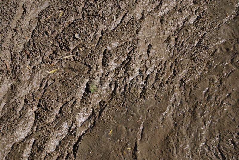Mud stock image. Image of river, textural, rough, background - 5400623