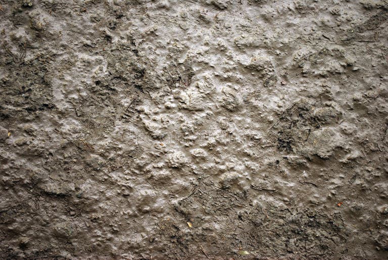 84,585 Mud Texture Cartoonish Stock Photos - Free & Royalty-Free Stock ...