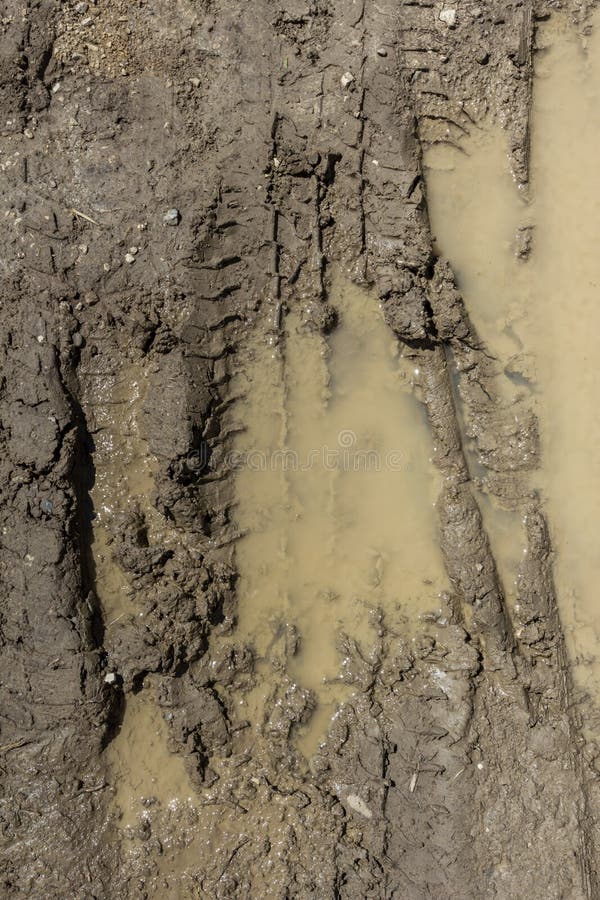 Mud background stock image. Image of rough, muddy, print - 97074561
