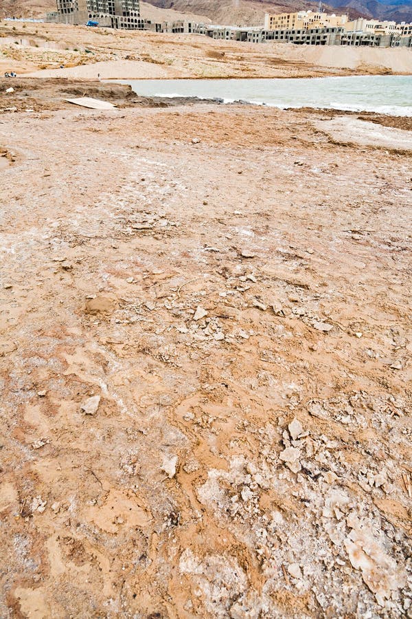 Mud beach of Dead sea stock photo. Image of cure, beach - 23745642