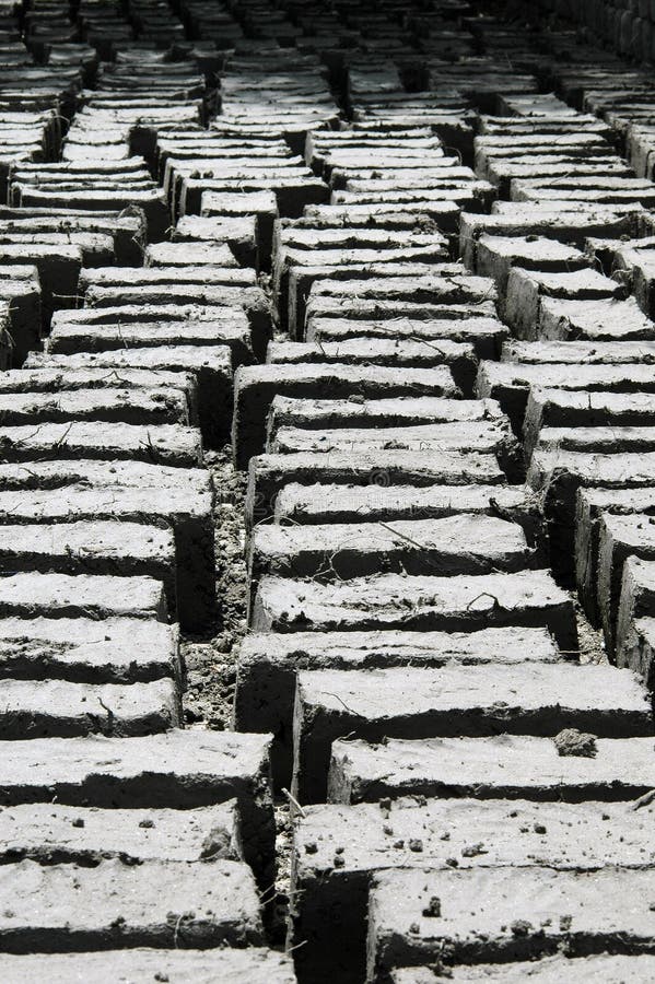 4+ Drying mud bricks Free Stock Photos - StockFreeImages