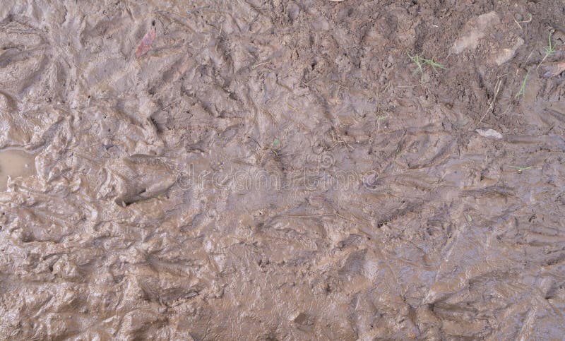 Mud Clay Ground Pattern Texture Wet Background. Brown Dirty Muck Road ...