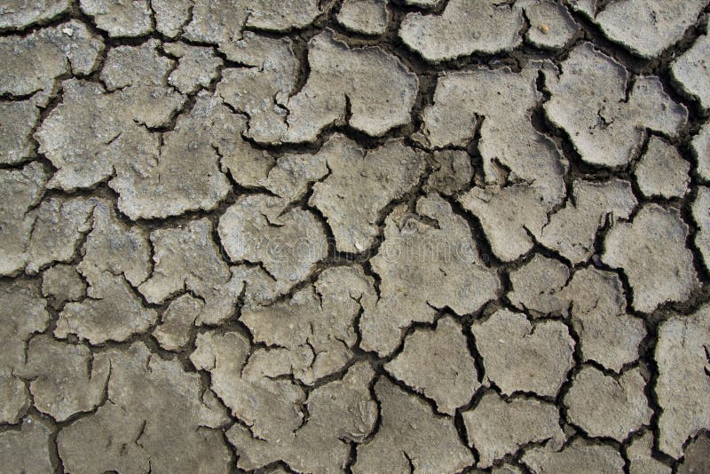 Mud cracks stock image. Image of cracked, flat, closeup - 24903847
