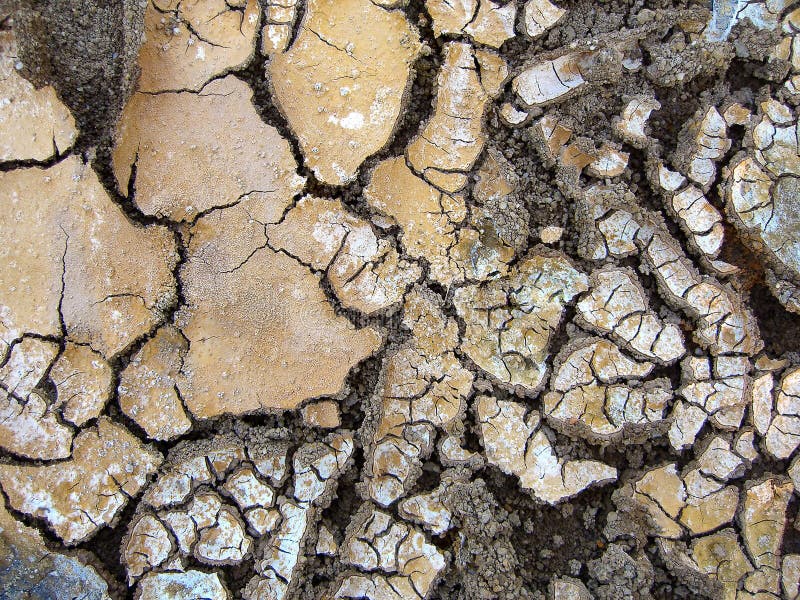 Mud cracks stock photo. Image of natural, summer, dirt - 105968598