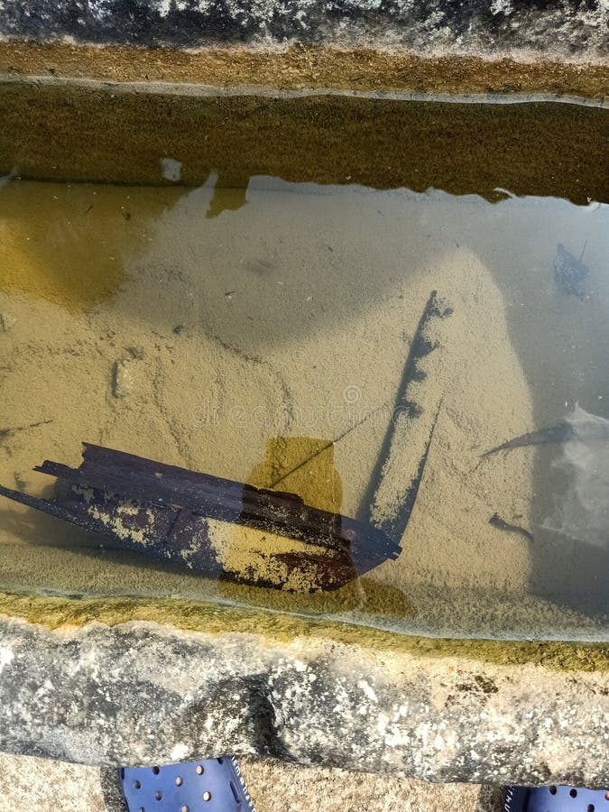 Mud Deposits Form Paintings Stock Photo - Image of paintings, deposits ...