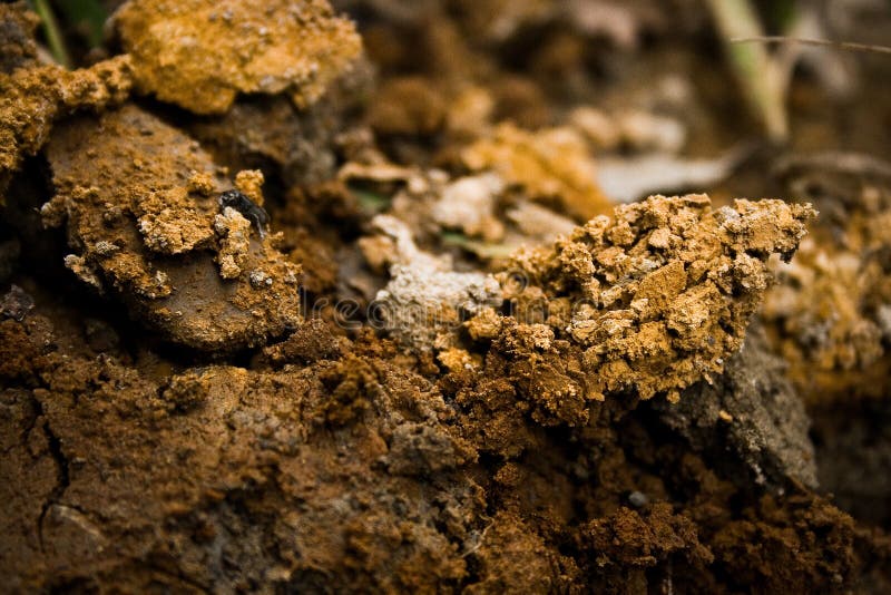 Mud stock photo. Image of colored, soil, water, yellow - 57163306