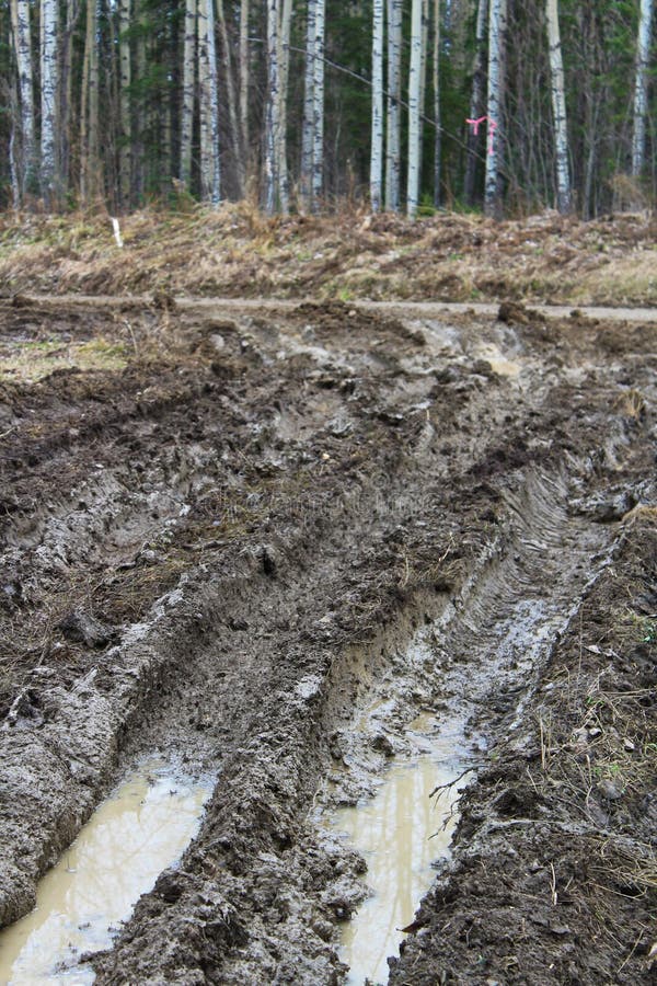 Rutted Soil Cultivation For Cassava Stock Image - Image of gasohol ...