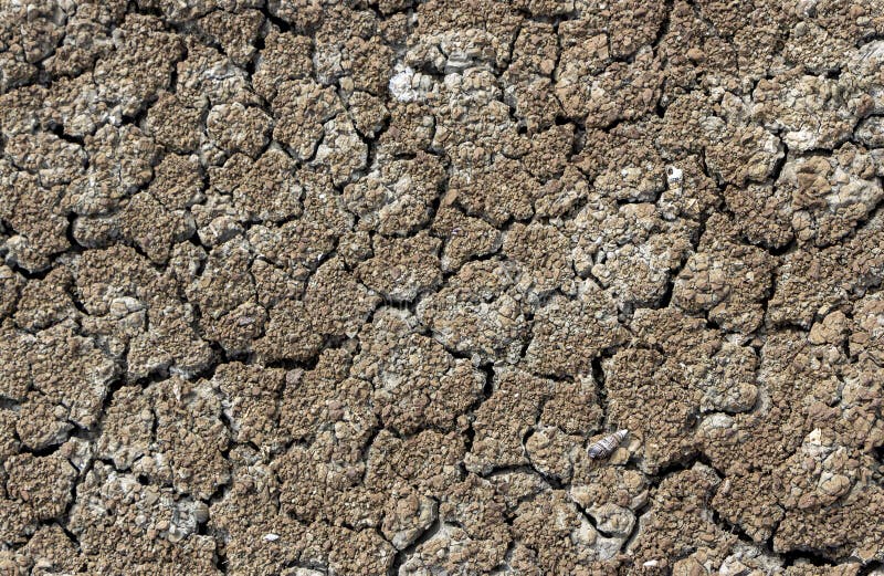 The Mud Dry the Sea Near the Ocean in the Tropics Stock Image - Image ...