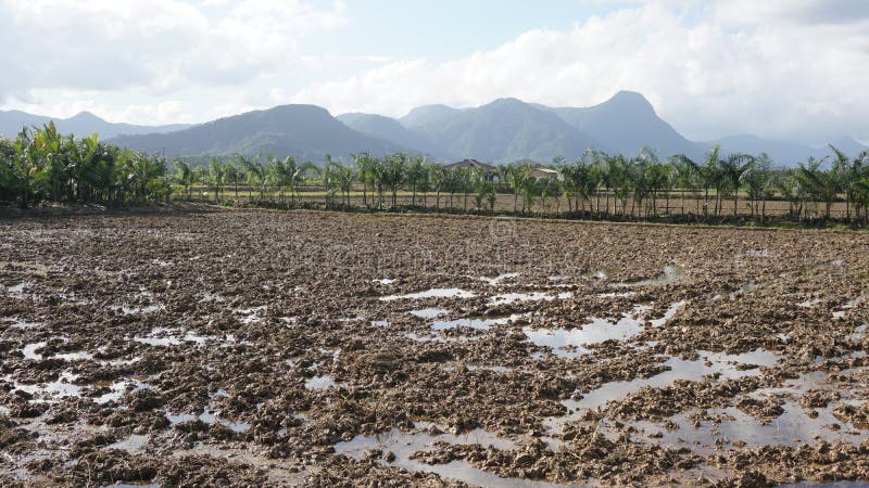 Mud field stock image. Image of earthy, mountains, lake - 28883107