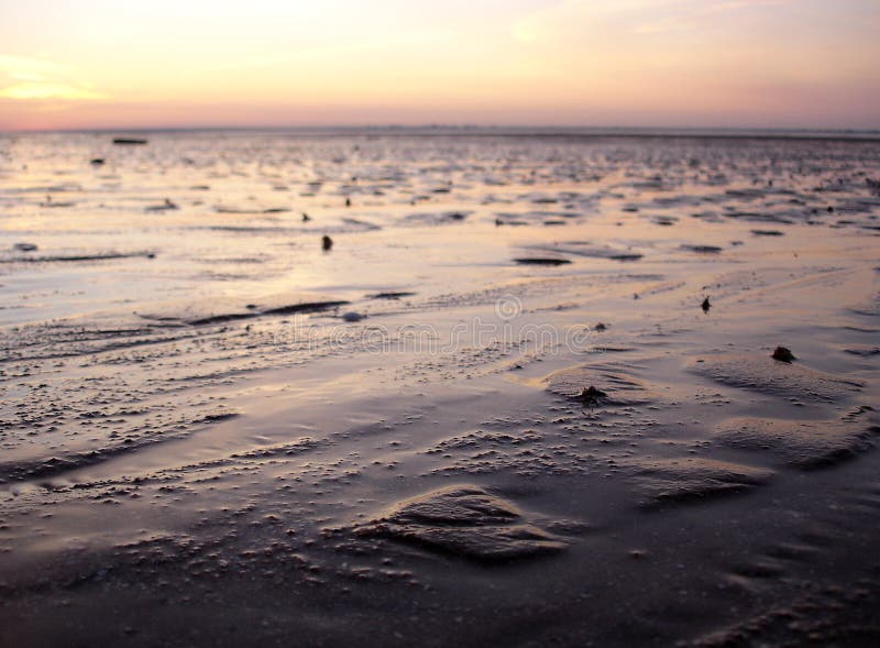 Mud Flats at Dusk stock image. Image of deserted, orange - 42621263