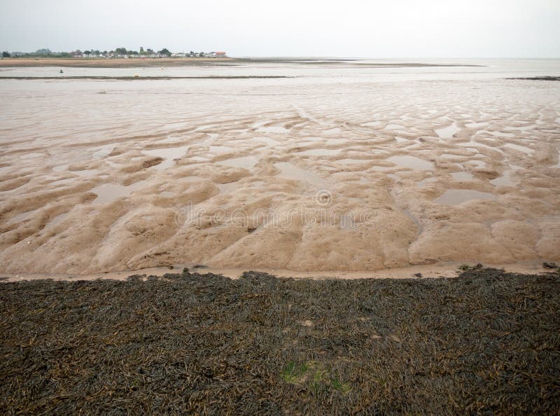 Texture of Mud Flats with Tide Out Black Water Maldon Stock Image ...