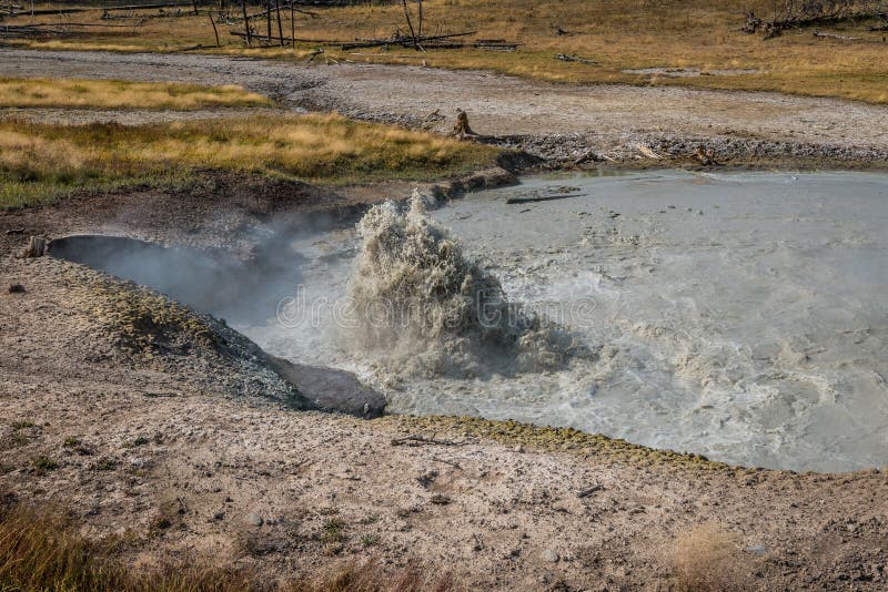 Mud Geyser Erupting At Yellowstone Stock Photo - Image of muddy ...