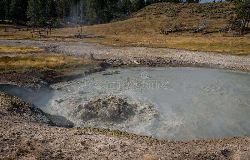 The Mud Geyser stock photo. Image of lake, pool, fountain - 77684176