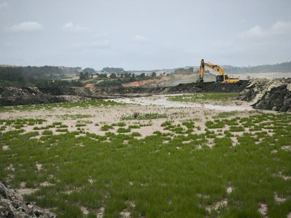 Mud Grass in disposal stock photo. Image of mining, disposal - 300677220