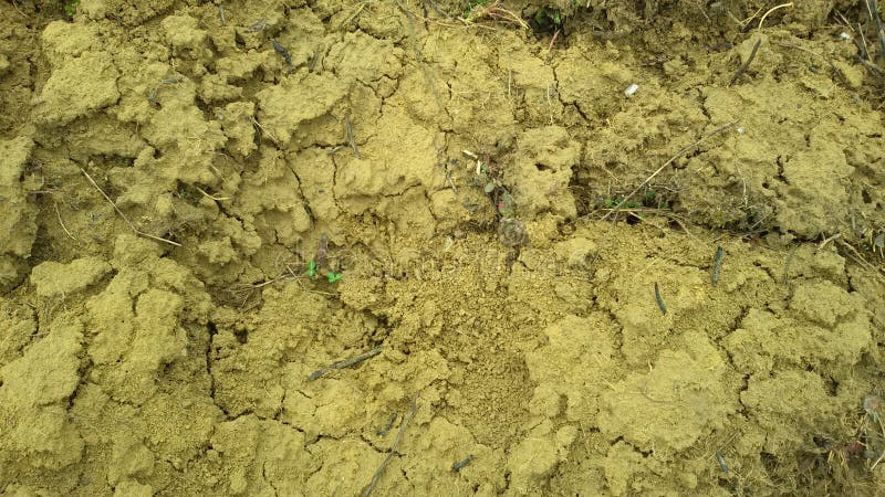 Mud stock photo. Image of conservation, nature, soil - 52046328