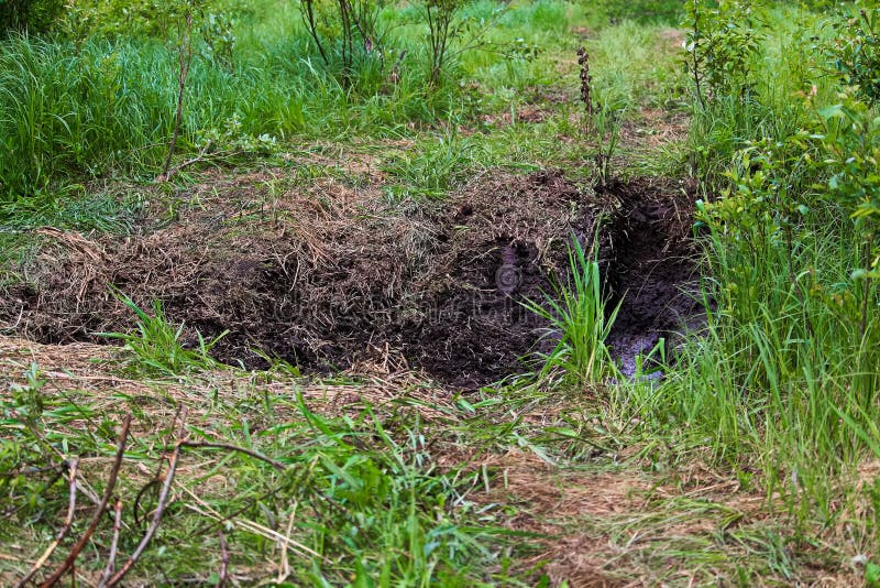 A Mud Hole in the Middle of an Off-road Path Stock Photo - Image of ...