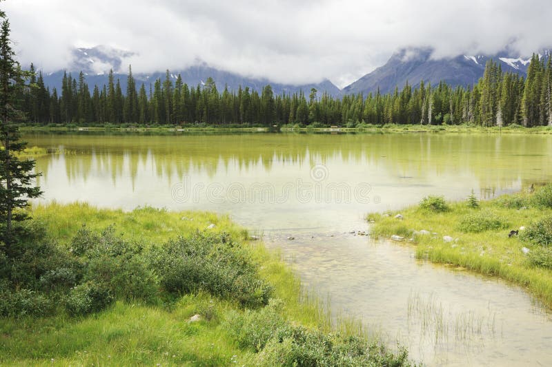 Mud Lake stock photo. Image of canoeing, journey, reflection - 23082490