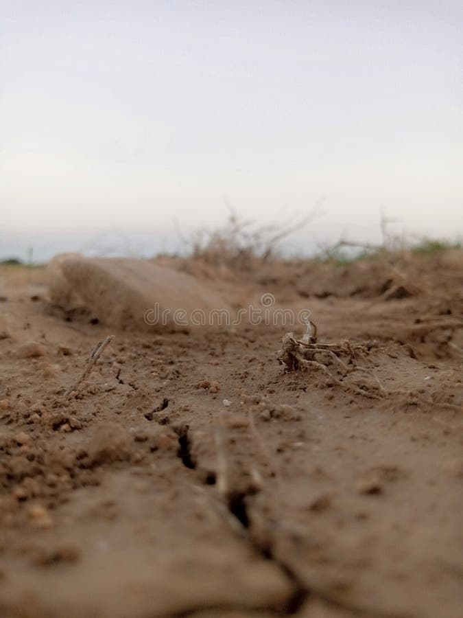 Only mud or land mud stock image. Image of prairie, crop - 229853507