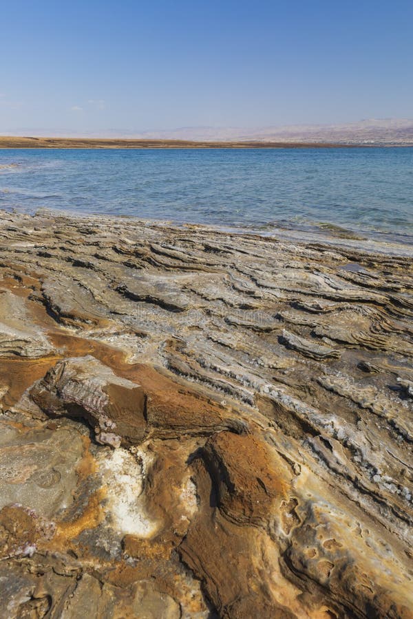Mud and Layers of Salt on the Coast of the Dead Sea in Israel Stock ...