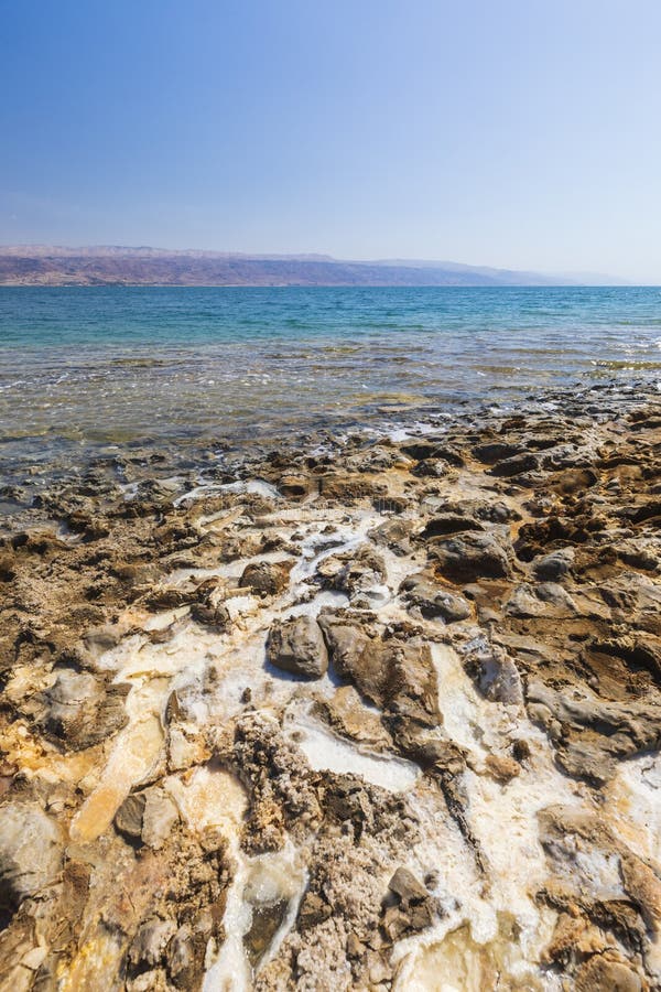 Mud and Layers of Salt on the Coast of the Dead Sea in Israel Stock ...