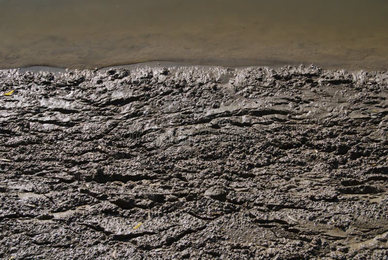 Marsh mud. stock image. Image of pond, landscapes, marsh - 35995651