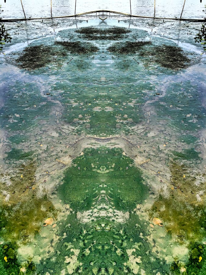 Mud and Moss Texture Background, Creative Design Stock Image - Image of ...