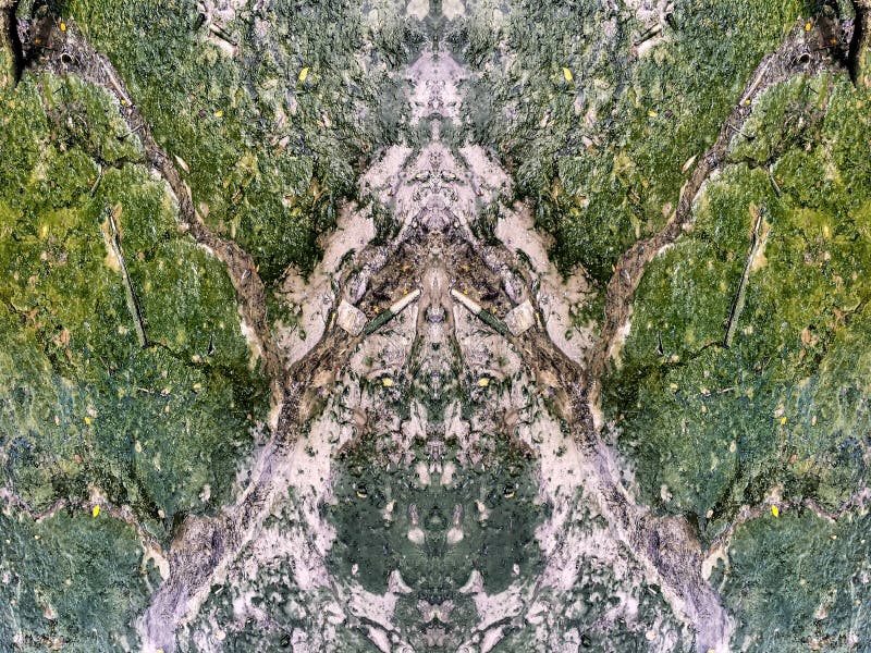 Mud and Moss Texture Background, Creative Design Stock Image - Image of ...