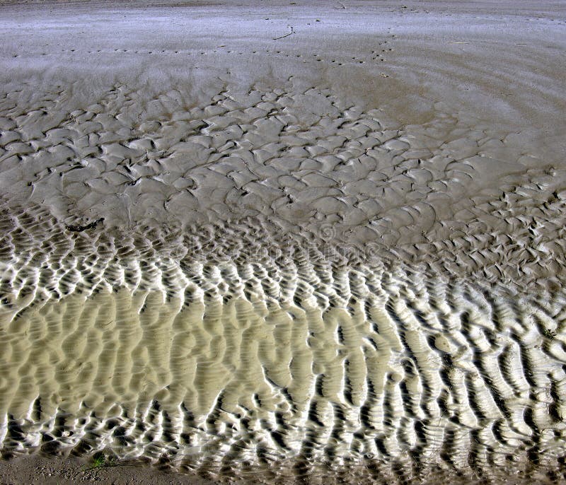 Mud stock photo. Image of footsteps, texture, outdoors - 36574140